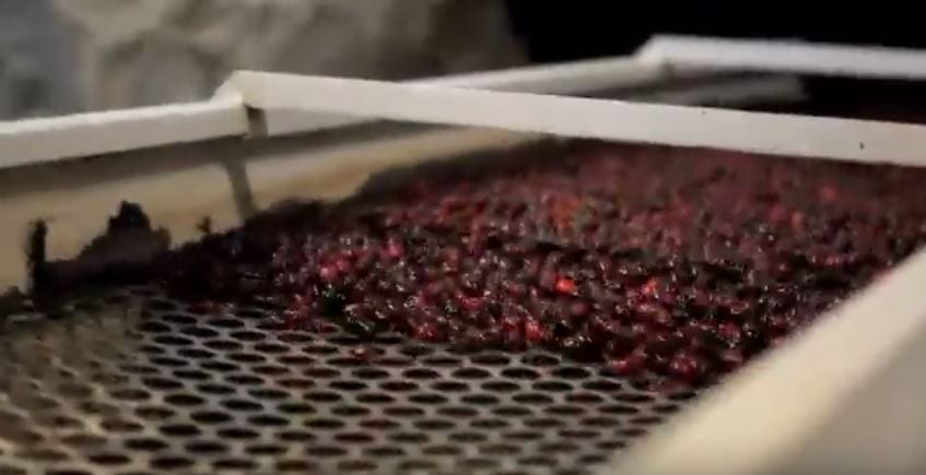 El Salvador Wet Processing - Sweet Maria's Coffee Library