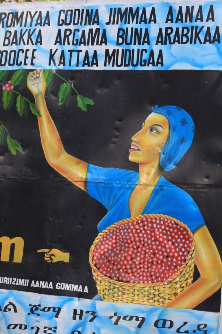 Moka Java: Re-Constructing the World's Oldest Blend - Sweet Maria's Coffee Library