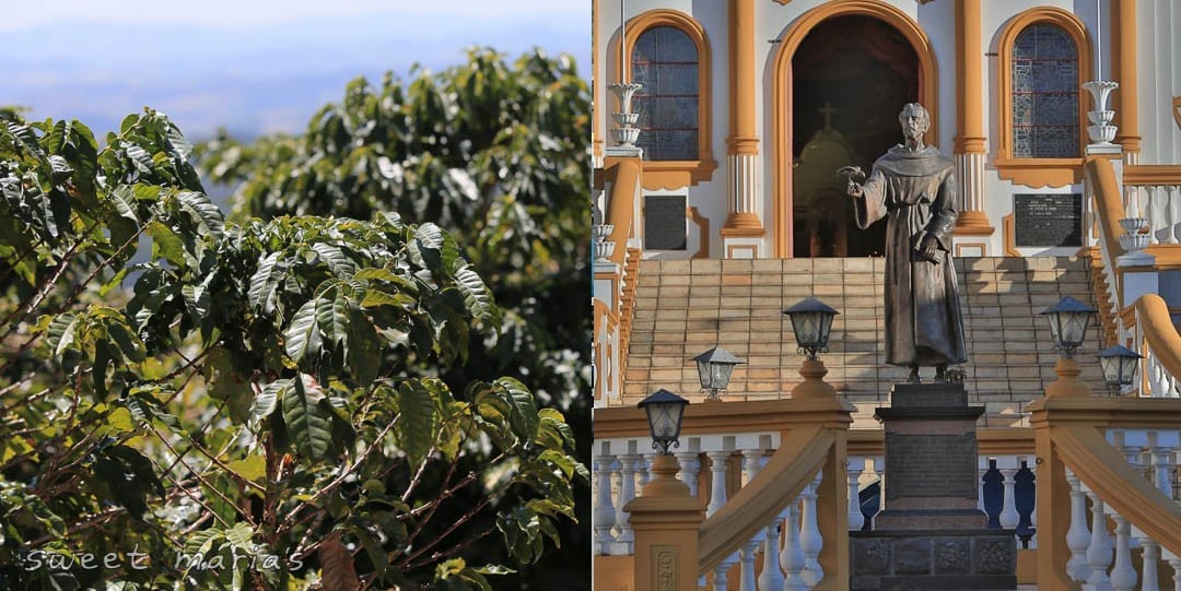 New Coffee: Brazil Fazenda Santa Ines - Sweet Maria's Coffee Library