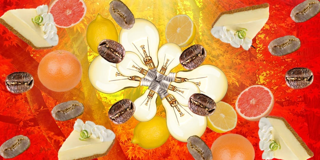 Bright Coffee - Sweet Maria's Coffee Library