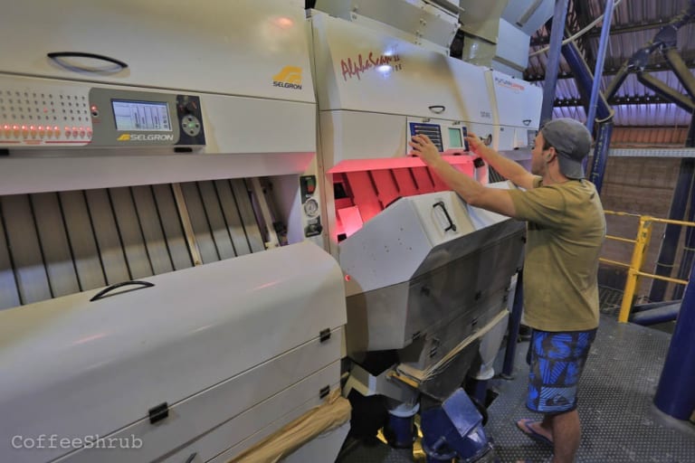 Coffee Harvesting with Machines: Newer Methods in Brazil Coffee ...