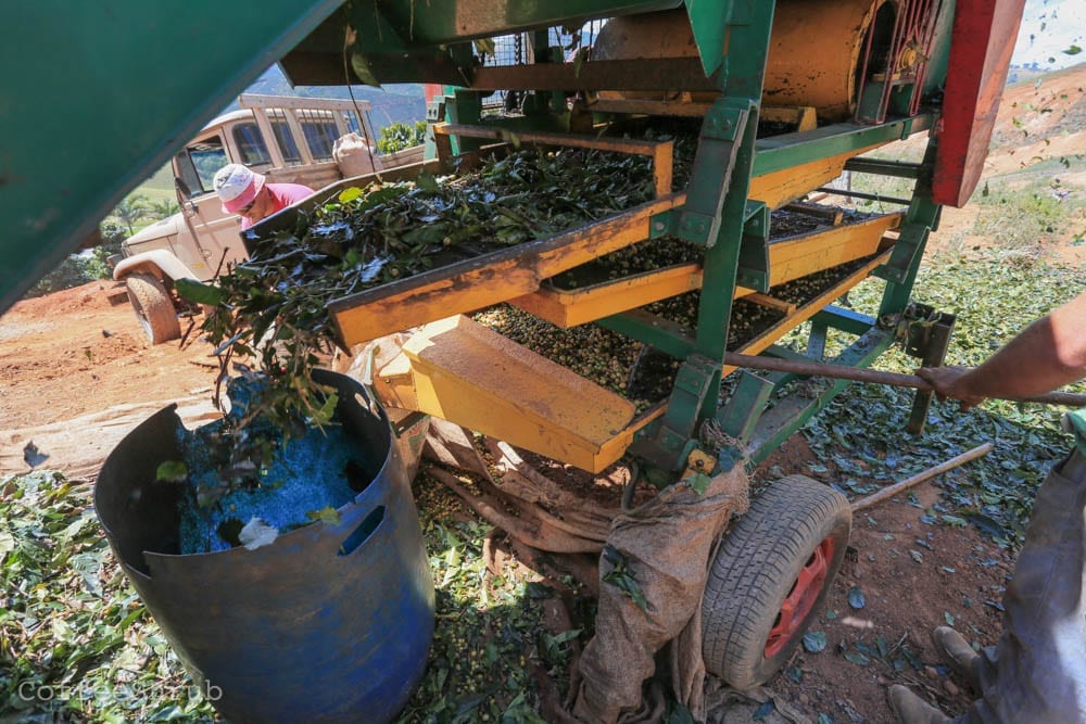 Coffee Harvesting with Machines: Newer Methods in Brazil Coffee ...