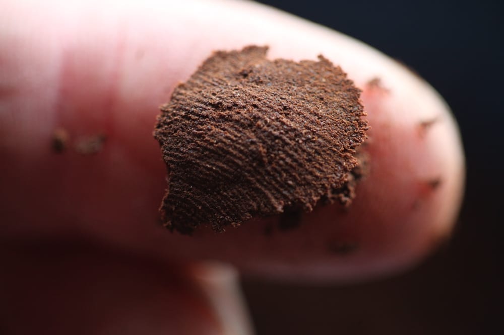 Espresso: The Grind - Sweet Maria's Coffee Library