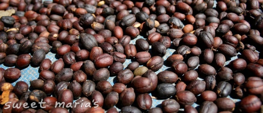 What is Dry Processed Coffee? - Sweet Maria's Coffee Library