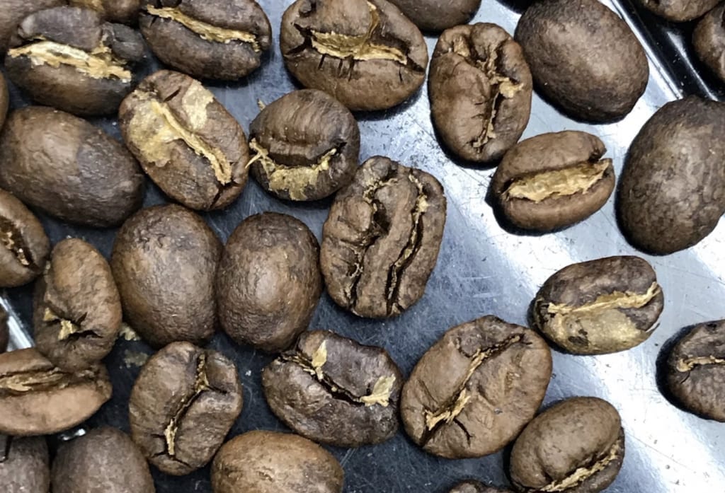 Uganda Like This Coffee: Uganda Bugisu Coffee from the Rwenzoris ...