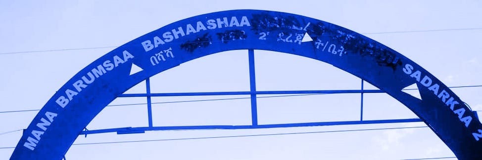 Ethiopia School Project : Beshasha School in Agaro - Sweet Maria's ...