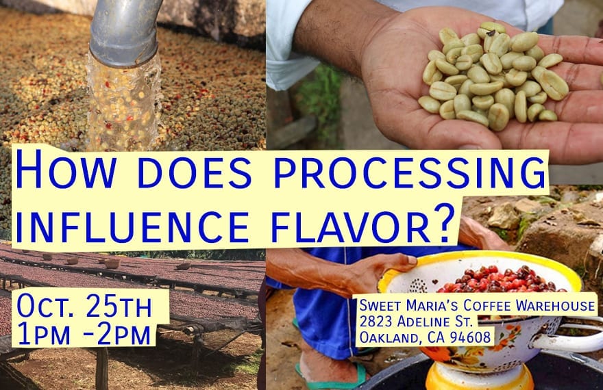 Coffee Tasting: How Does Processing Influence Flavor? - Sweet Maria's ...