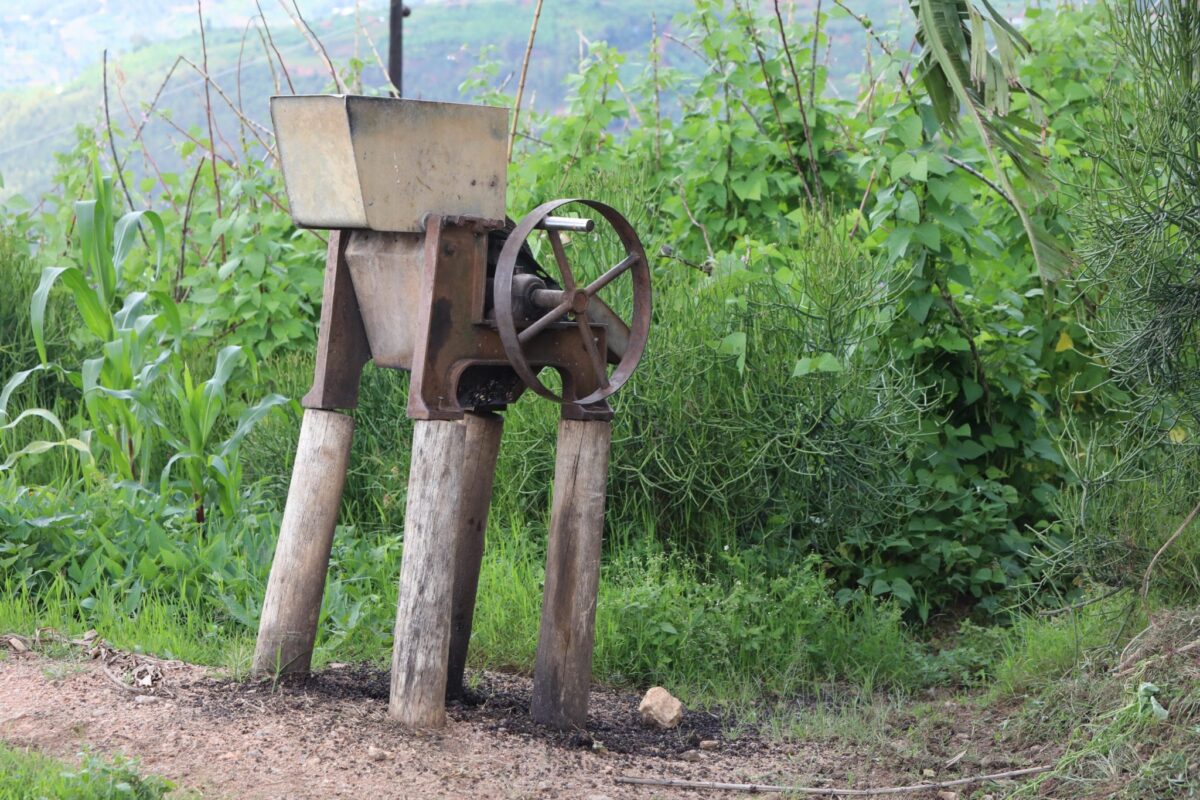 Rwanda Kageyo : Fresh Rwandan Coffee and a Fresh Infrastructure Project ...