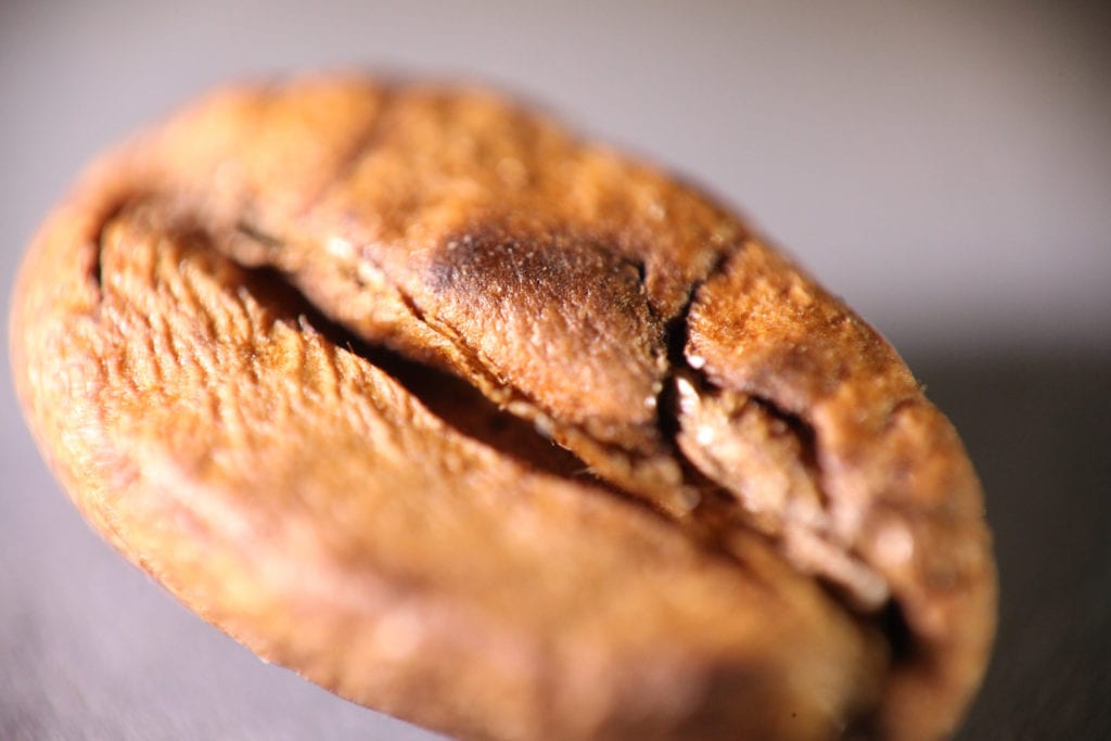 Scorching - Sweet Maria's Coffee Library