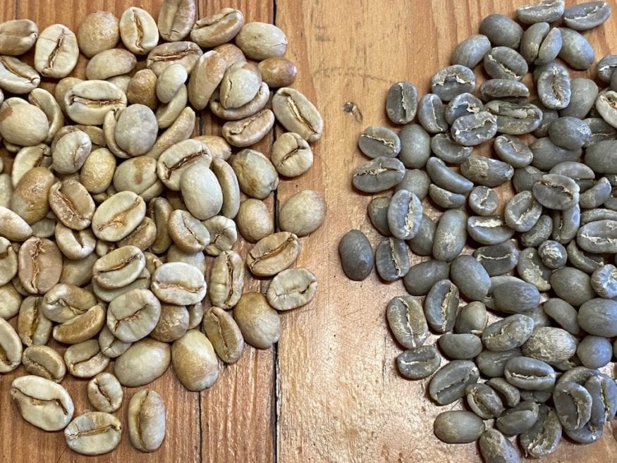 Green Coffee, Defined - Sweet Maria's Coffee Library