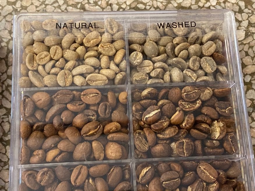Need a Visual Guide to Determine Coffee Roast Color? - Sweet Maria's ...