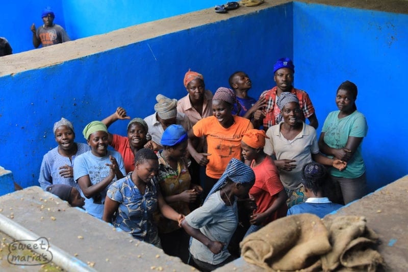 Rwanda Coffee Farm Visits, A Photo Set (May 2018) - Sweet Maria's ...