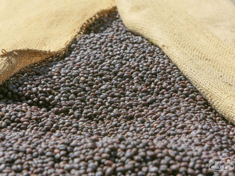 Introducing the DIY Moka Java Blend Set - Sweet Maria's Coffee Library