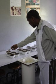 Ethiopia Harar and Dire Dawa - Sweet Maria's Coffee Library