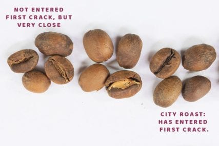 First Crack FAQ: What is First Crack? What is Second Crack? - Sweet ...