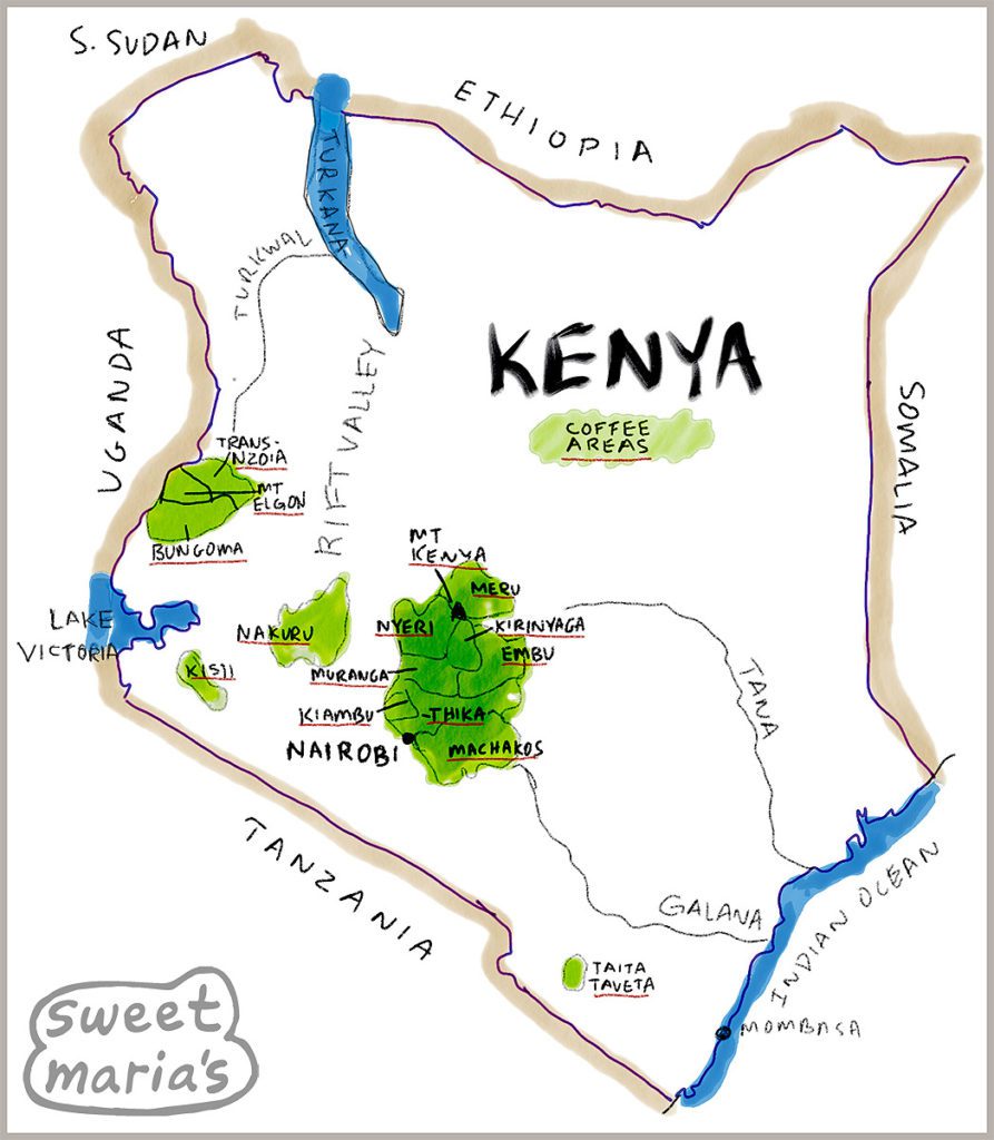 Kenya Coffee Overview - Sweet Maria's Coffee Library