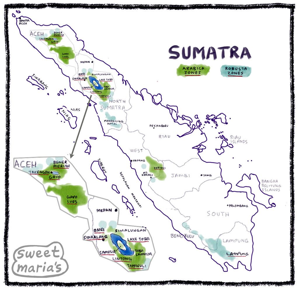 Sumatra Coffee Overview - Sweet Maria's Coffee Library