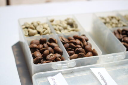 Hello: Colombia Single Origin Coffee Set - Sweet Maria's Coffee Library