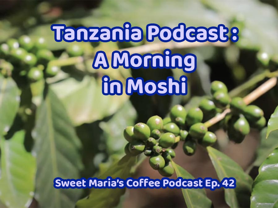 Tanzanian Coffee Podcast - A Morning in Moshi - Sweet Maria's Coffee ...