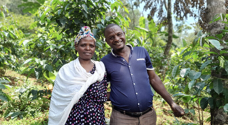 Coffee Library- Home Roasting and Green Coffee - Sweet Maria's Coffee ...