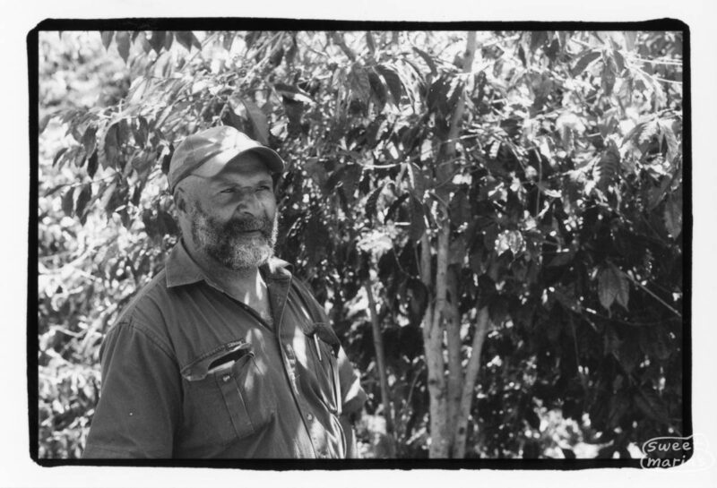 Understanding Our Farm Gate Coffee Program - Sweet Maria's Coffee Library