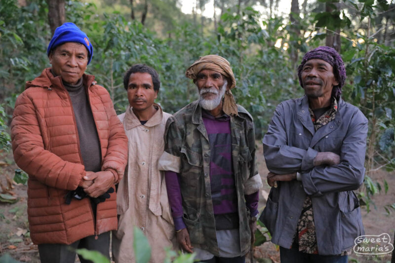 Understanding Our Farm Gate Coffee Program - Sweet Maria's Coffee Library