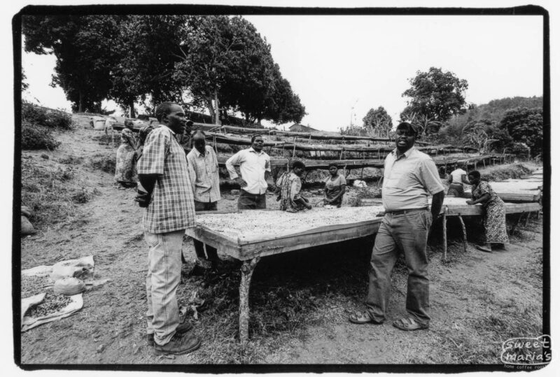 Understanding Our Farm Gate Coffee Program - Sweet Maria's Coffee Library