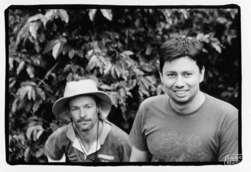 Understanding Our Farm Gate Coffee Program - Sweet Maria's Coffee Library