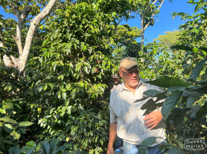 Understanding Our Farm Gate Coffee Program - Sweet Maria's Coffee Library