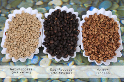 What Is Honey Coffee? - Sweet Maria's Coffee Library