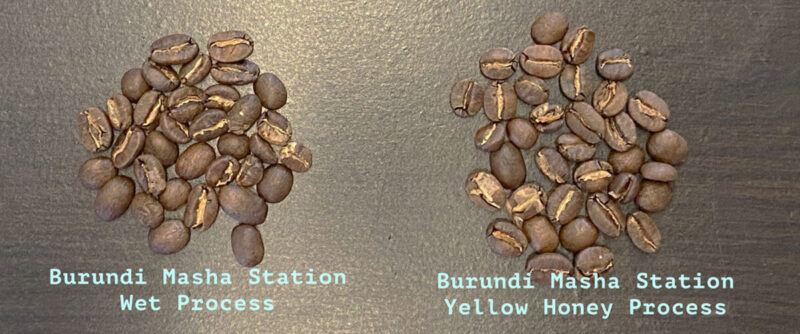 What Is Honey Coffee? - Sweet Maria's Coffee Library