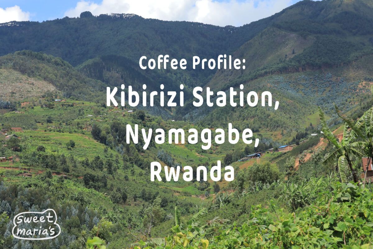 Rwanda - Kibirizi Station in Nyamagabe District - Sweet Maria's Coffee ...