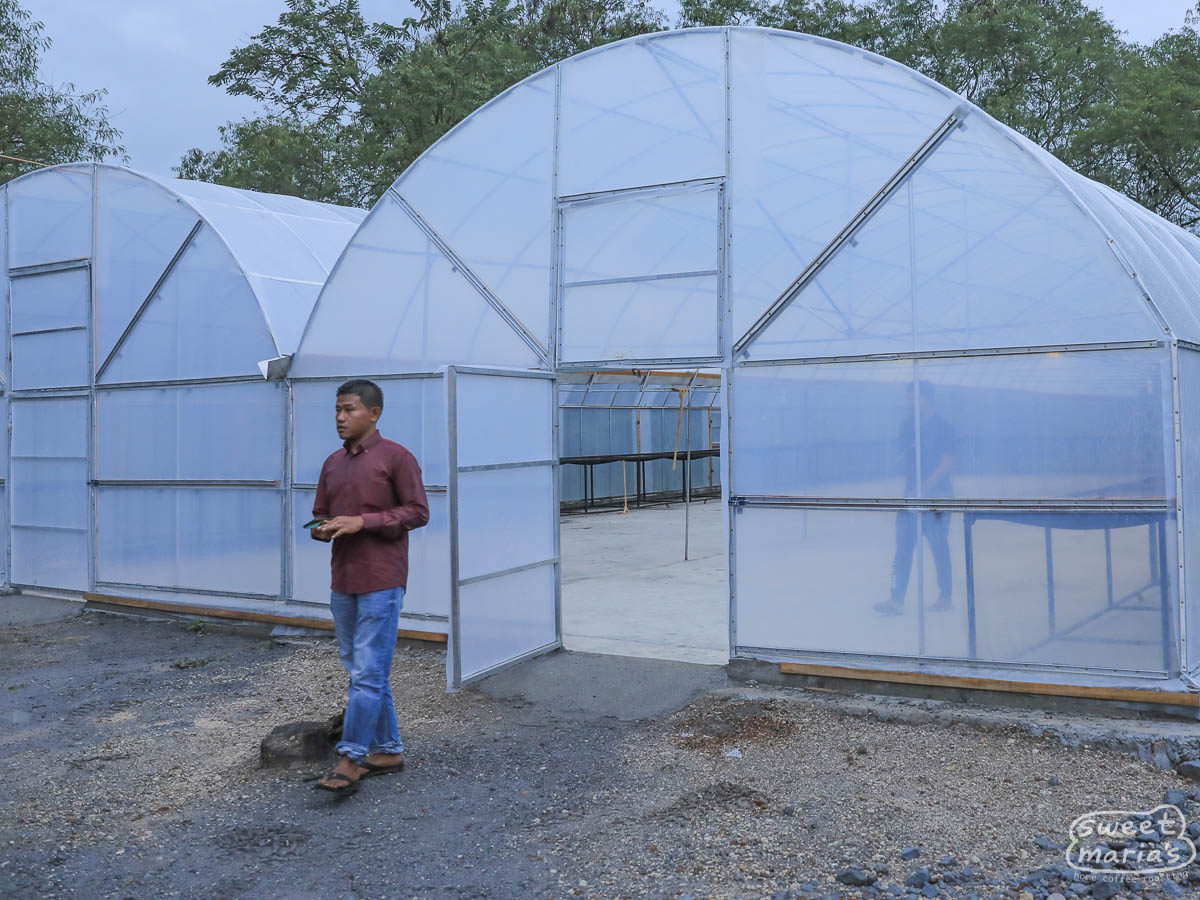 Sumatra Coffee Farmers in Distress - Sweet Maria's Coffee Library
