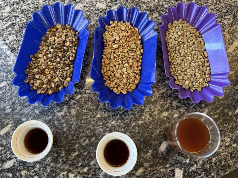 Low vs High Grade Coffee: Commercial & Anaerobic Microlot - Sweet Maria ...